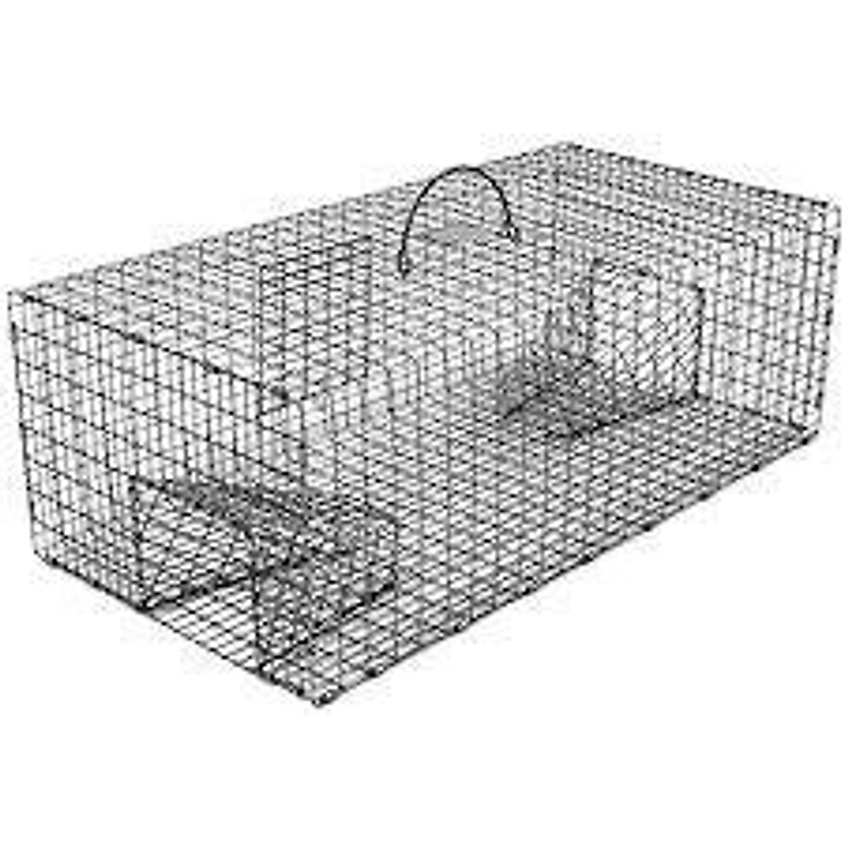 Live Animal Trap: Double Door Sparrow Trap