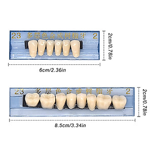 RZJZGZ 168 Pcs Dentures Resin Teeth Halloween Fake Teeth Vampire Horror Teeth Fangs for Halloween Party Cosplay Props Horror Party FavorsA2 …