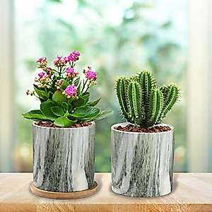 NOIRUC-CZ 6 Pack Succulent Plant Pots, 3 inch Marble Texture Mini Ceramic Planters with Drainage Hole and Bamboo Tray Small Flower Pot Modern Decor for Garden, Balcony, Office