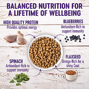 Wellness Complete Health Natural Grain Free Dry Puppy Food, Chicken & Salmon, 4-Pound Bag