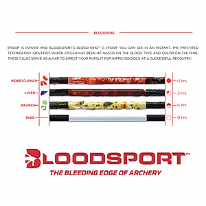 BLOODSPORT Evidence Precise Durable Carbon Fletched Hunting Arrow for Compound Bow - 31" Length.165 Micro-Diameter.001 Straightness, 6 Pack, 300 Spine,Black