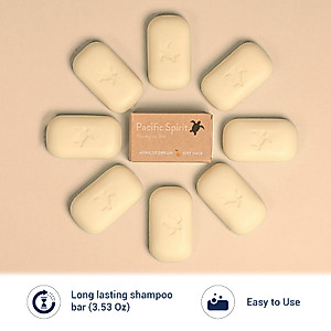 Pacific Spirit Moisturizing Shampoo Bar with Argan Oil for dry Hair - High Shine - Tropical Scent - SLS free, Sulfate-Free, Soap-Free, Zero Waste, Vegan, 3.53 Oz