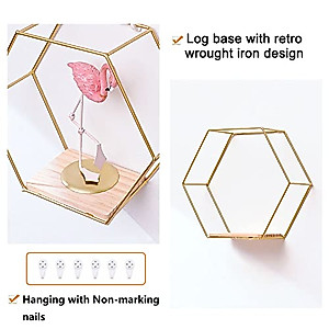Morobor Wall Mounted Floating Hexagon Shelves,3pcs Different Sizes Metal Framed Gold Shelves with Wooden Floor for Wall Storage & Display in Modern Chic Style