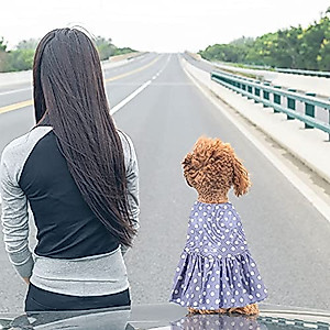 UKCOCO Dog Clothes Small Dog Skirt Puppy Clothes Summer Cat Kitten Outfit Pet Clothing Dress