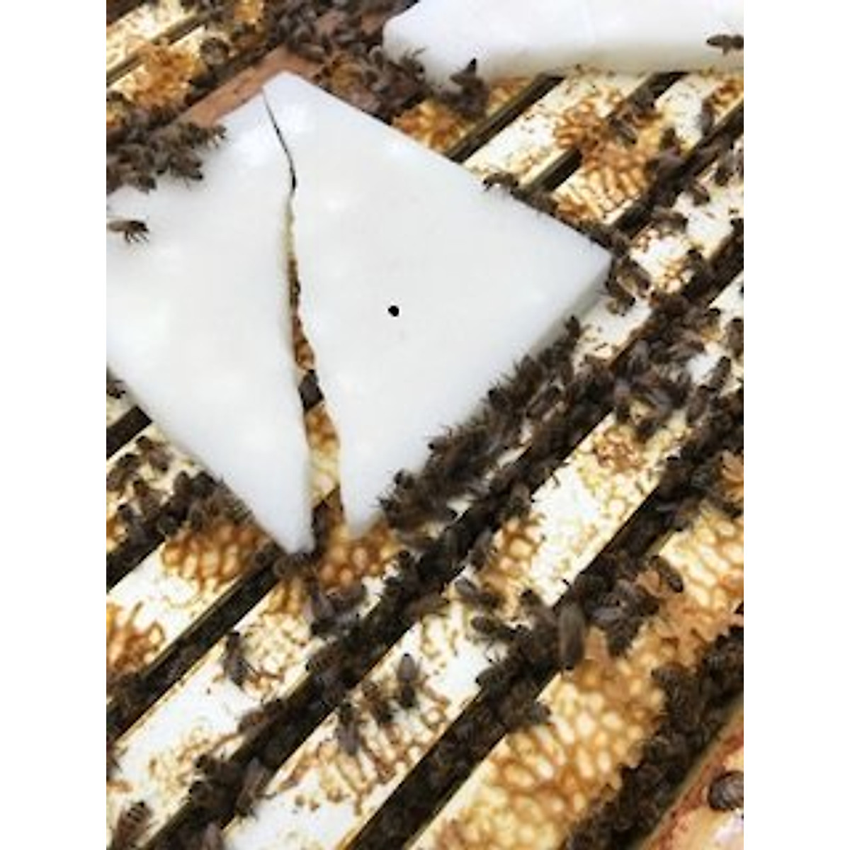 Priddy Acres Sweet B - Simple Bee Fondant - 10 lbs (Lemongrass)