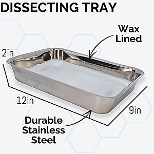 Eisco Labs - Metal Dissecting Tray with Wax, 12x9x2" - Stainless Steel Dissection Tray for Biology, Anatomy, Forensic Science & Specimen Pinning, Lab Dissection Trays, Wax-Lined Stainless Trays