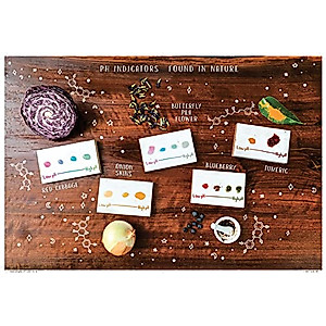 The Science Spell Book: 30 Enchanting Experiments for Kids