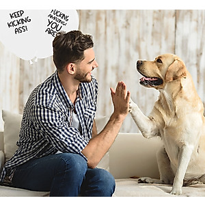 Funny Congratulations Balloons Congrats Graduation Party Thank You Employee Appreciation Decorations