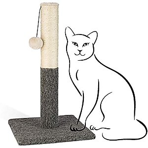 PAWBEE Cat Scratching Post - 20" Cat Scratcher Pole - Sturdy Cat Scratching Posts for Indoor Cats - Natural Sisal Rope Cat Scratchers - Cat Scratch Post with Hanging Ball Toy - Cat Post for Kittens