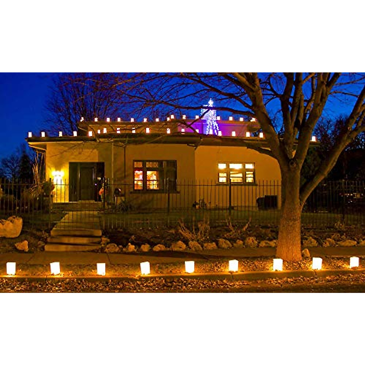 Set of 12 Brown Luminaries, Light String, Bulbs & Stakes