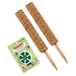 JOYSEUS 30 Inch Moss Pole for Climbing Plants - 2 Pack 15 Inch Coir Totem Pole Plant Support with 65 Feet Garden Twist Tie for Monstera and Potted Plants to Grow Upwards…