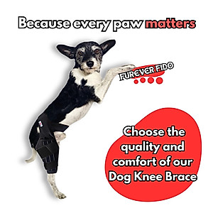 Dog Knee Brace, Hip Displaysia Dog Support Brace, Dog ACL Brace Hind Leg, Dog ACL Knee Brace, Dog Knee Brace for Luxating Patella, ACL Brace for Dogs Rear Leg, Dog Hip Support brace (L - Left)