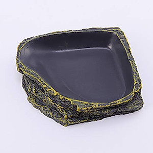 POPETPOP Reptile Food Dish Terrarium Water Bowl Food Feeding Plate Container Drinking Water Tray Resin for Snake Tortoise Frog