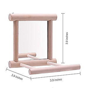 HANZE Bird Mirror with Swing Hummingbird Swing Bird Perches for Parrots Stand Wooden Swing Toy for Macaws Lovebird Cockatoo Parakeet Conure Finch Cockatiels,4 Pack