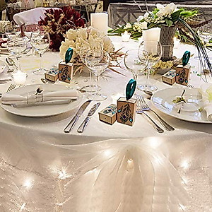 Faylapa Suitcase Candy Boxes, Party Favor Candy Box, Vintage Kraft Paper Gift Bag for Travel Theme Party,Wedding,Birthday,Bridal Shower (Peacock Feather 50pcs)