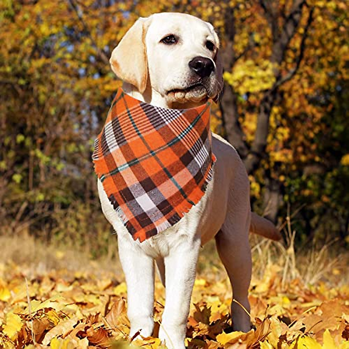 STMK Thanksgiving Day Dog Bandanas, 4 Pack Fall Dog Bandana Scarf with Tassels Edges for Holiday Fall Thanksgiving Day Dog Puppy Costume (Plaid)