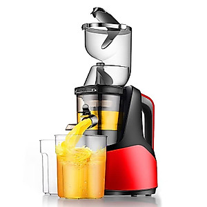 TANACC Portable Juice Blender Electric Multifunction Juicer Fruit Ice Cream Maker Household Food Processor Juice Extractor Stainless Steel Body