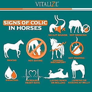 Alimend Stomach Support for Horses, 128 Fluid Ounce (3785 ml)