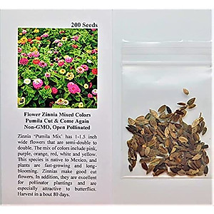 David's Garden Seeds Flower Zinnia Mixed Colors Pumila Cut & Come Again FBA-00026 (Multi) 200 Non-GMO, Heirloom Seeds