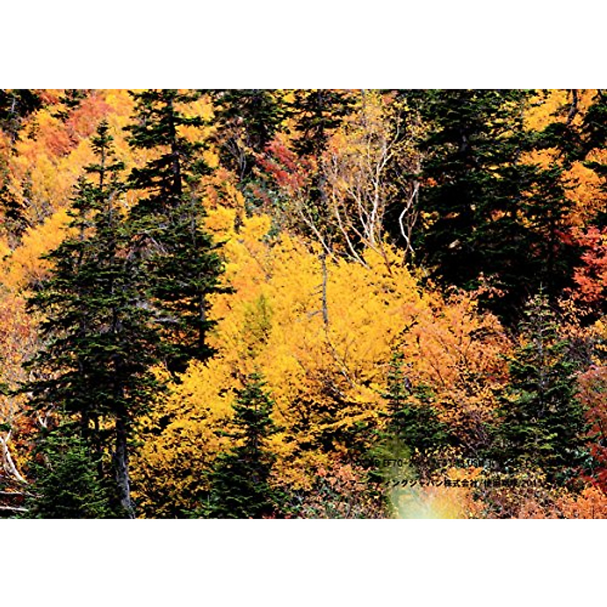 Canon EOS 6D with EF 24-105mm F4L IS USM Lens - International Version (No Warranty)