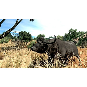 Cabela's Big Game Hunter - Xbox 360 (Game Only) (Renewed)