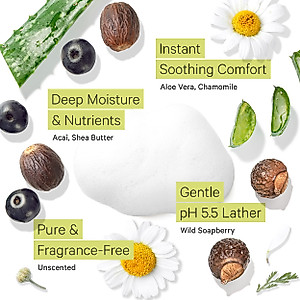 Tree to Tub Sensitive Skin Face Wash for Dry Skin - Fragrance Free Gentle Face Cleanser for Women & Men, Unscented Hydrating Foaming Facial Cleanser, Daily Face Soap w/All Natural Organic Aloe Vera