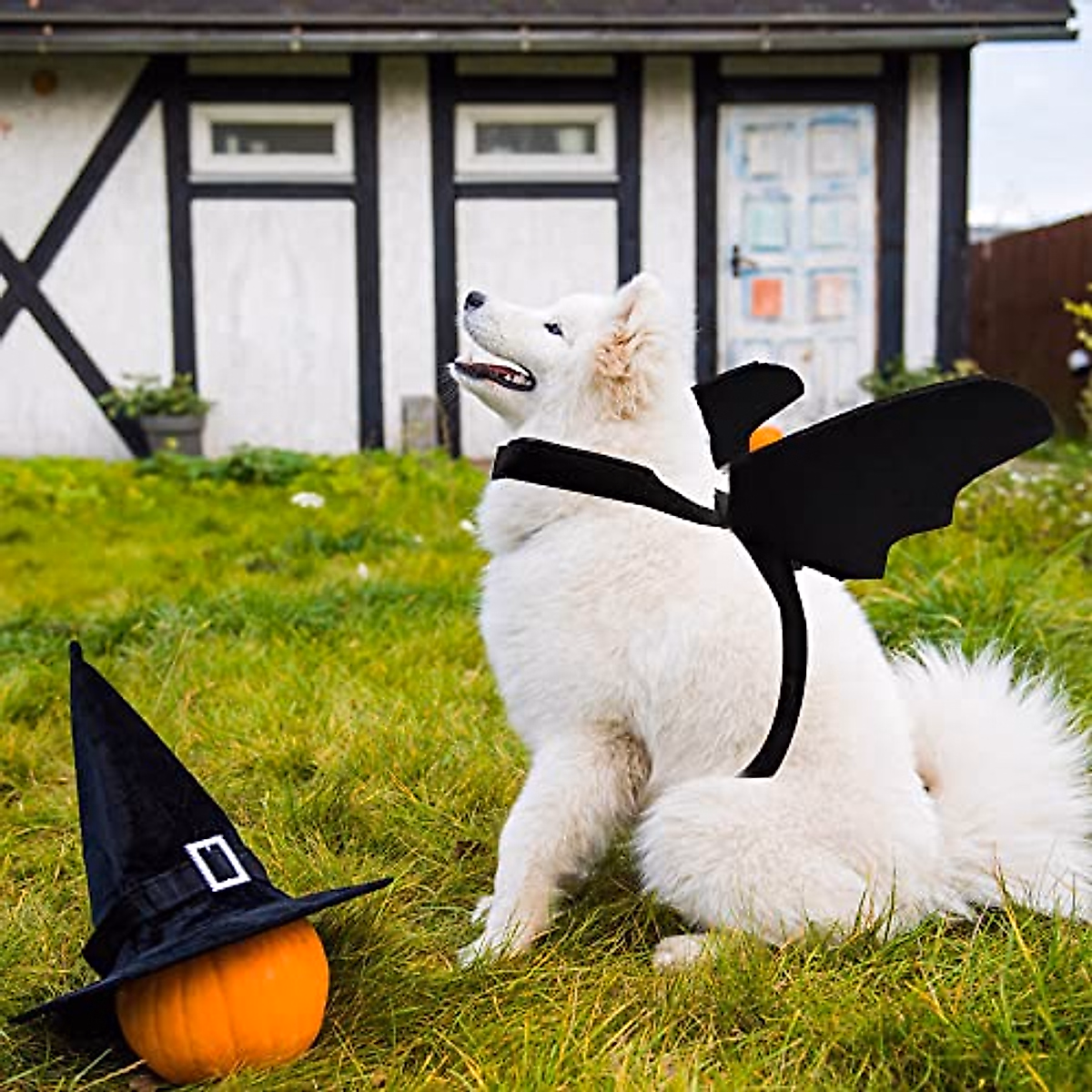 Chichome Dog Halloween Costumes Bat Wings Halloween Costumes Pet Bat Costume for Dogs Pet Cosplay Halloween Funny Cool Costume Halloween Outfits for Medium Large Dog, grey