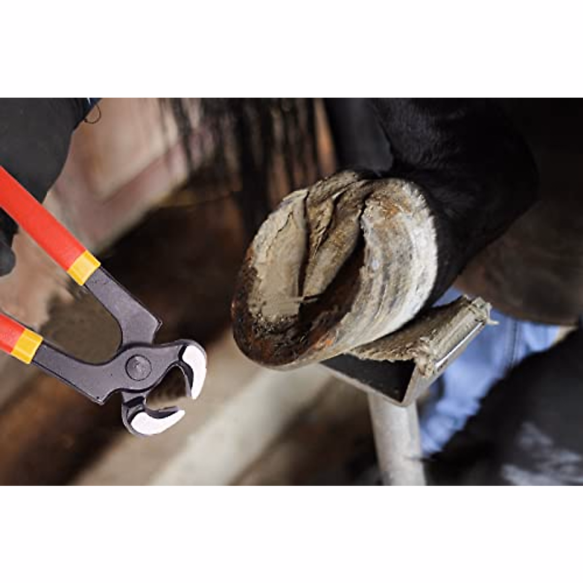 8 inch Farrier Tool Kits （7 Piece） Mini Rasp Hoof File Goat Pig Equine Metal Shears Professional Farriers Hoof Nipper Cutter Handle Knife