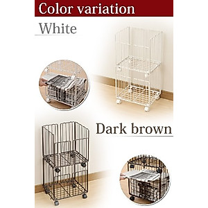 Yamazen RSR-2C (DBR) Newspaper Stocker, 2 Tiers, Dark Brown