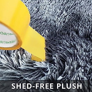 ROCYJULIN Fluffy Area Rug 4x6 for Bedroom, Ultra Soft 4x6 Area Rugs for Living Room, Non-Slip Shag Fuzzy Throw Rug for Nursery, Kids, Girls, Boys, Grey