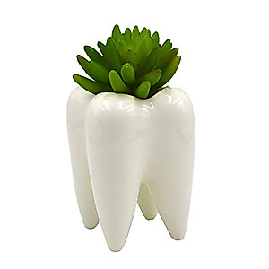 4.7" Tooth Planter Pot/Bonsai Pot/Succulent Planter/Pencil Cup/Toorhbrush Holder 3D Shaped Multipurpose