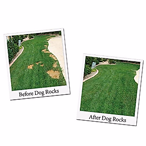 Dog Rocks - Prevent Grass Burn Spots by Pet Urine, Save Your Lawn from Yellow Marks, 3 Bags of 200g Each (6 Month Supply Total)