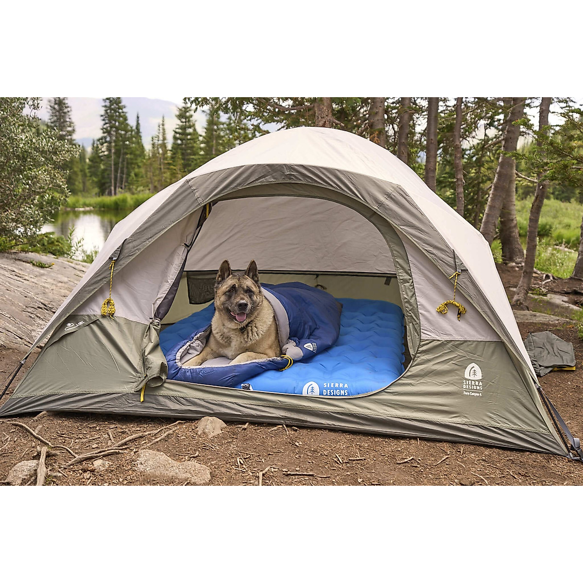 Sierra Designs Fern Canyon 4 Person Tent for Camping - Easy Setup – Includes a Waterproof Removable Rain Fly Ready for Any Conditions - Included Burrito Bag for Quick and Easy Storage…