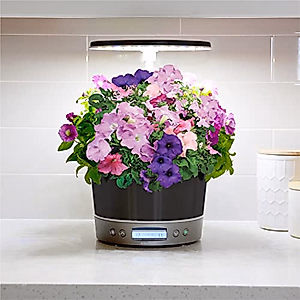 AeroGarden Harvest Elite 360 with Gourmet Herb Seed Pod Kit - Hydroponic Indoor Garden, Platinum Stainless