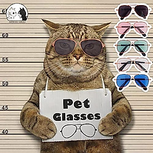 CHDHALTD Pet Glasses, Lovely Cute Photos Props Toy for Small Dog Cat Eye Wear Fashion Pet Glasses(A,Pink)