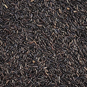 Commodity Marketing Company Nyjer Seeds – Premium High Energy Wild Bird Thistle Food – Finches – Garden Backyard Birds – Great for Bird Feeders