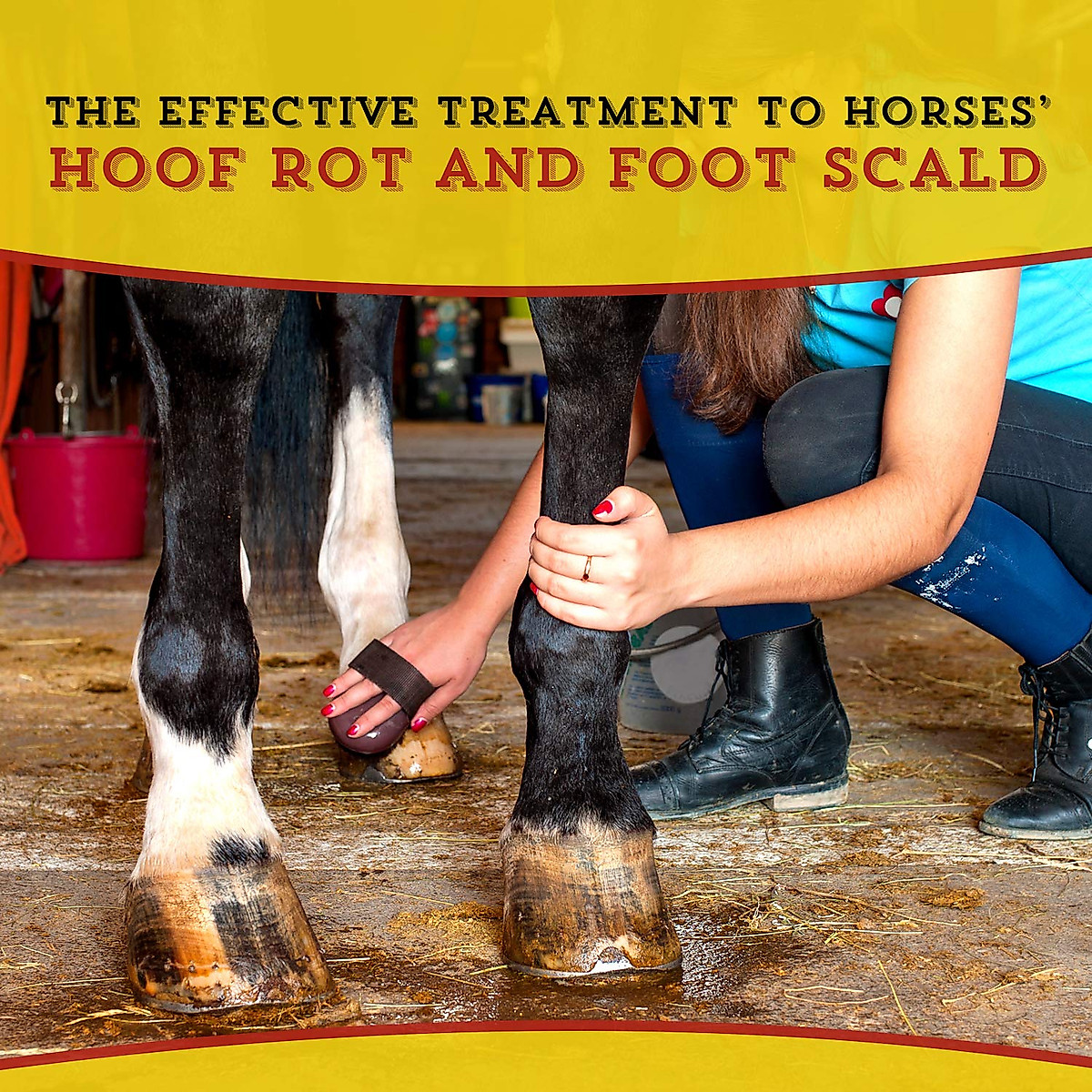 Dr. Naylor Hoof 'N Heal, Hoof Rot Foot Rot Wound Care, 16oz, Sheep Goat Cow Horse, 1-pack