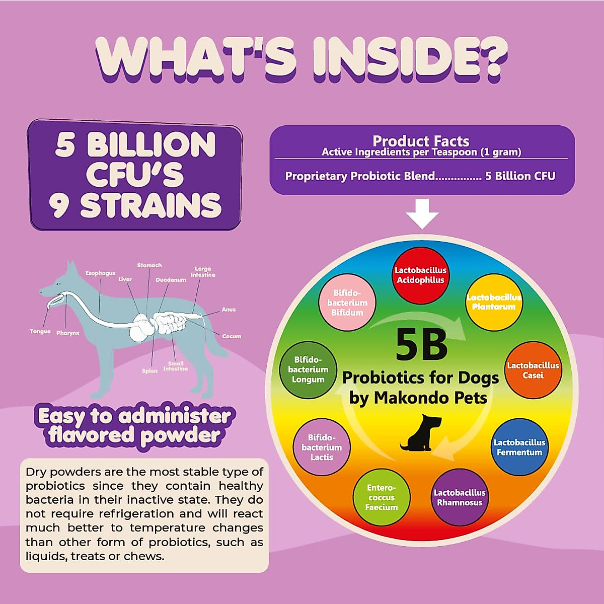 Probiotics for Dogs & Puppies–Extra Strength 9 Species, 5 Billion CFU per Scoop of Dog Probiotics and Digestive Enzymes for Dogs. Support Fiber for Dogs & Dog Allergy Relief– Powder Probiotic for Dogs