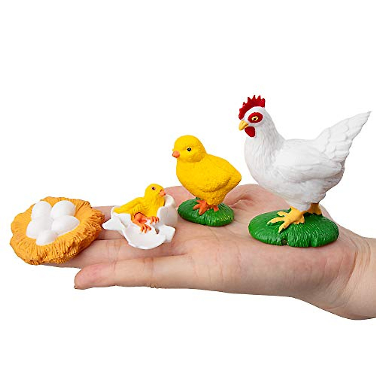 Toymany 16PCS Life Cycle of Goose White Swan Chicken Duck Farm Animals Figures, Plastic Safariology Growth Cycle Eggs Figurines Toy Kit School Project Cake Topper for Kids Toddlers