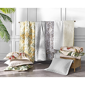 Tommy Bahama - Twin Quilt Set, Reversible Cotton Bedding with Matching Sham, Lightweight Home Decor for All Seasons (Kayo Blue, Twin)