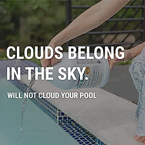 Champion Pool Shock - Ready to Use Liquid Chlorine - Commercial Grade 12.5% Concentrated Strength - 4 Gallon