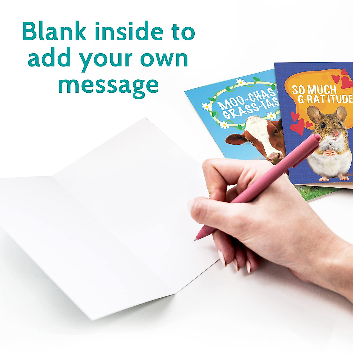 T MARIE 48 Funny Thank You Cards with Colorful Envelopes and Gold Stickers - Bulk 4x6” Boxed Set for Employee Appreciation Cards, Kids, Friends, Staff and Customers - Cute Animal Designs