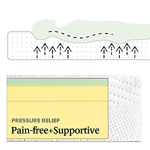 Zinus 12 Inch Green Tea Essential Memory Foam Mattress/Bed-in-a-Box/Affordable Mattress/CertiPUR-US Certified, Full