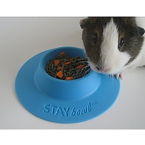STAYbowl Tip-Proof Ergonomic Pet Bowl for Guinea Pig and Other Small Pets; 1/4-Cup Size; Sky Blue