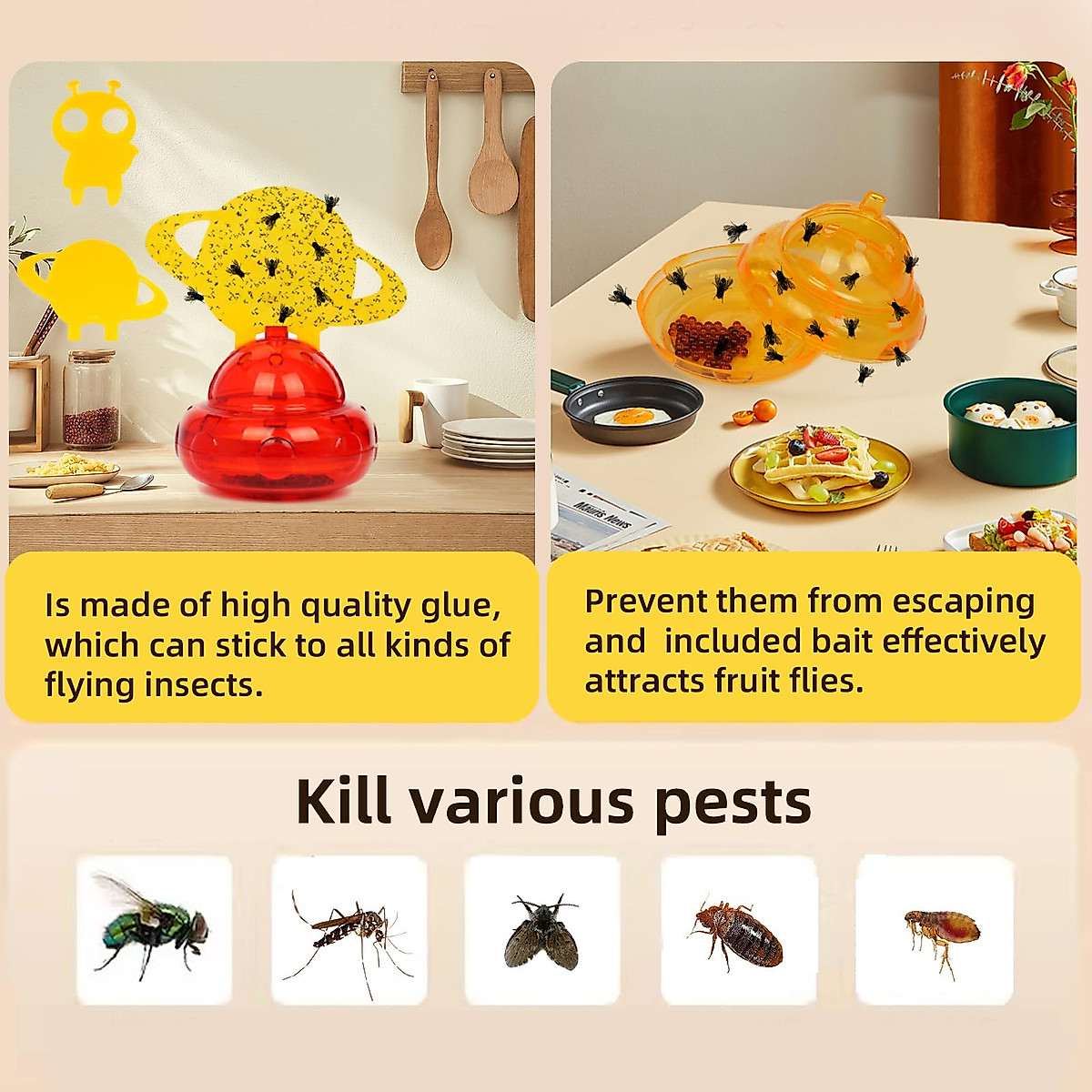 Fruit Fly Trap wth Sticky Pads, Fruit Fly Killer for Indoors, Safe and Non-Toxic Fly Catcher Gnat Traps Fruit Fly Traps for Kitchen,House - 2 Pack
