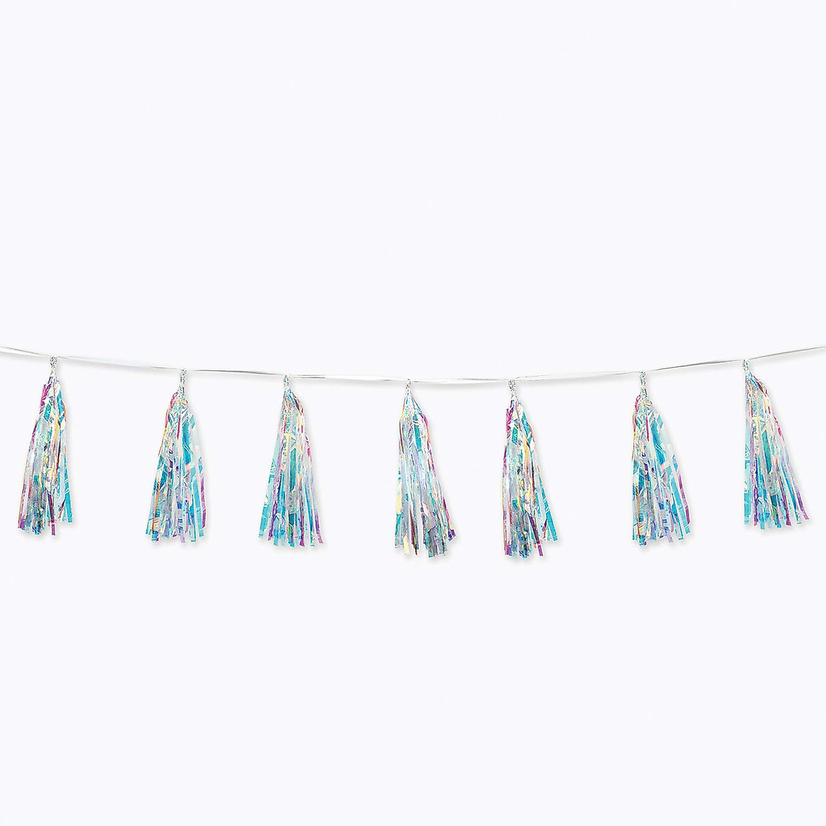 Beistle Iridescent Tassel Garland