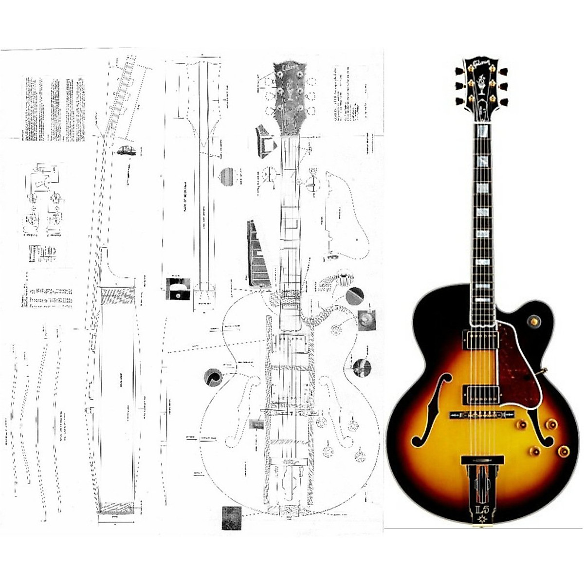 L5 Style Arch top Electric Guitar Plans - Full Scale Design Drawings Plans - Actual Size