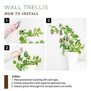 Treleaf Monstrella Wall Clips for Climbing Plants – Wooden trellis- Create green wall with your houseplant vines, home decor perfect for pothos, self-adhesive fixture(Set of 3)