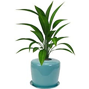 The Living Urn Indoors / Patio (Celadon Blue)