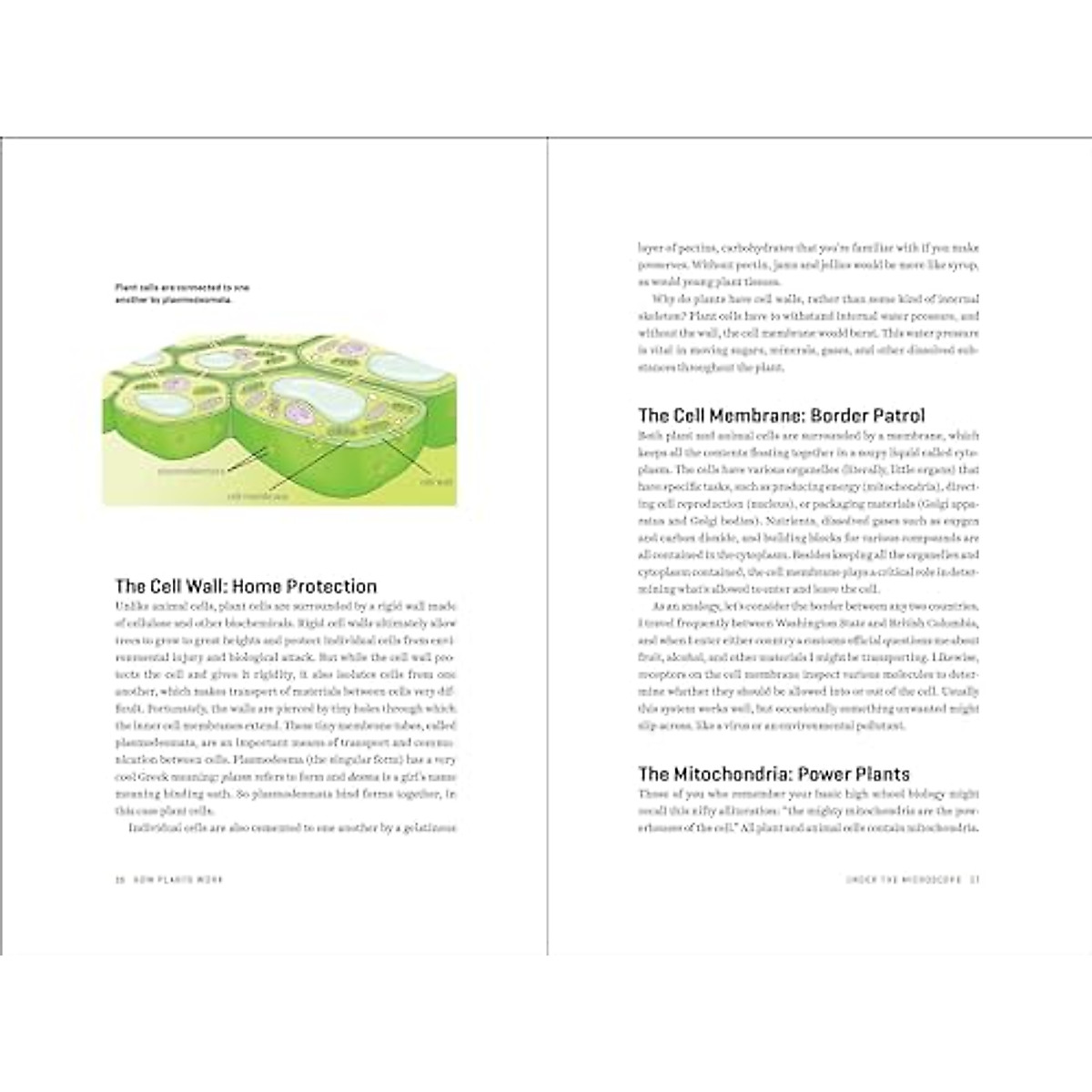 How Plants Work: The Science Behind the Amazing Things Plants Do (Science for Gardeners)